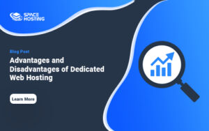 Advantages and Disadvantages of Dedicated Web Hosting - Space Hosting